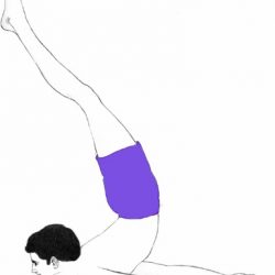 Asana Archives - Sarvyoga| yoga online|yoga